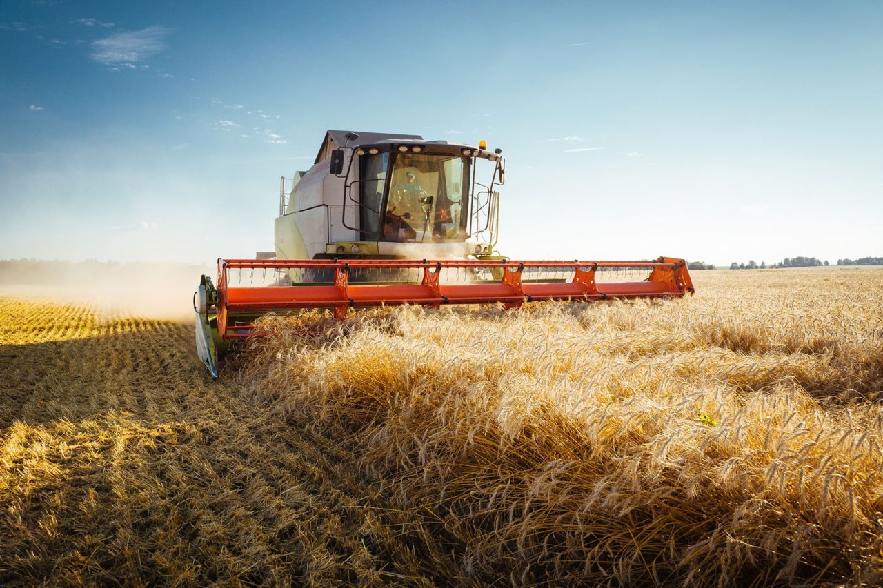 Roll-A-Cone | Harvesting Attachments | Bish Enterprises